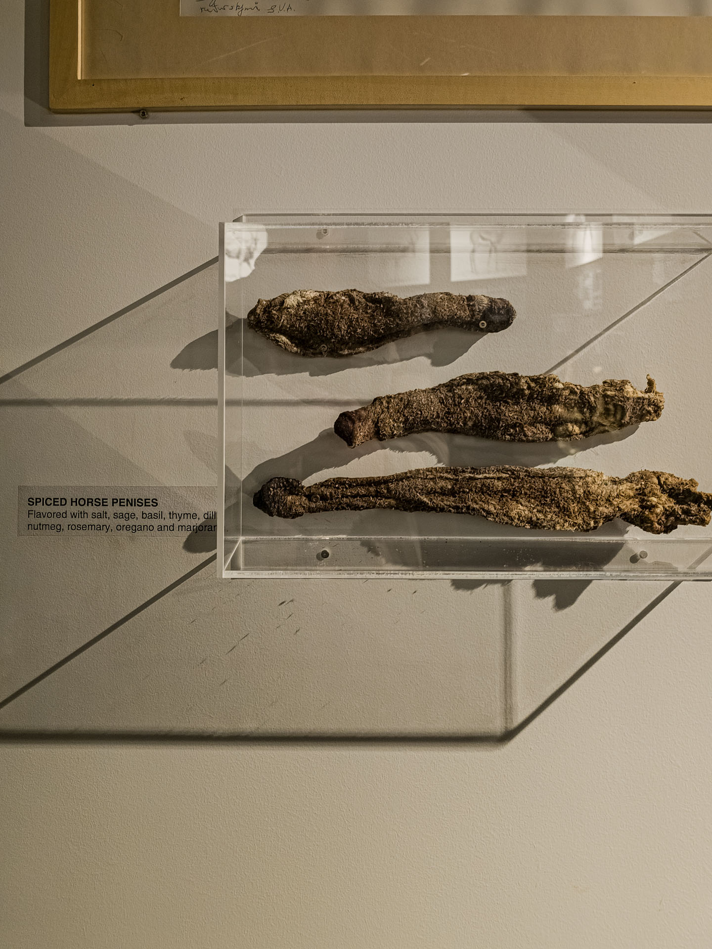 Icelandic Phallological Museum in Reykjavik | Unique things to do in ...