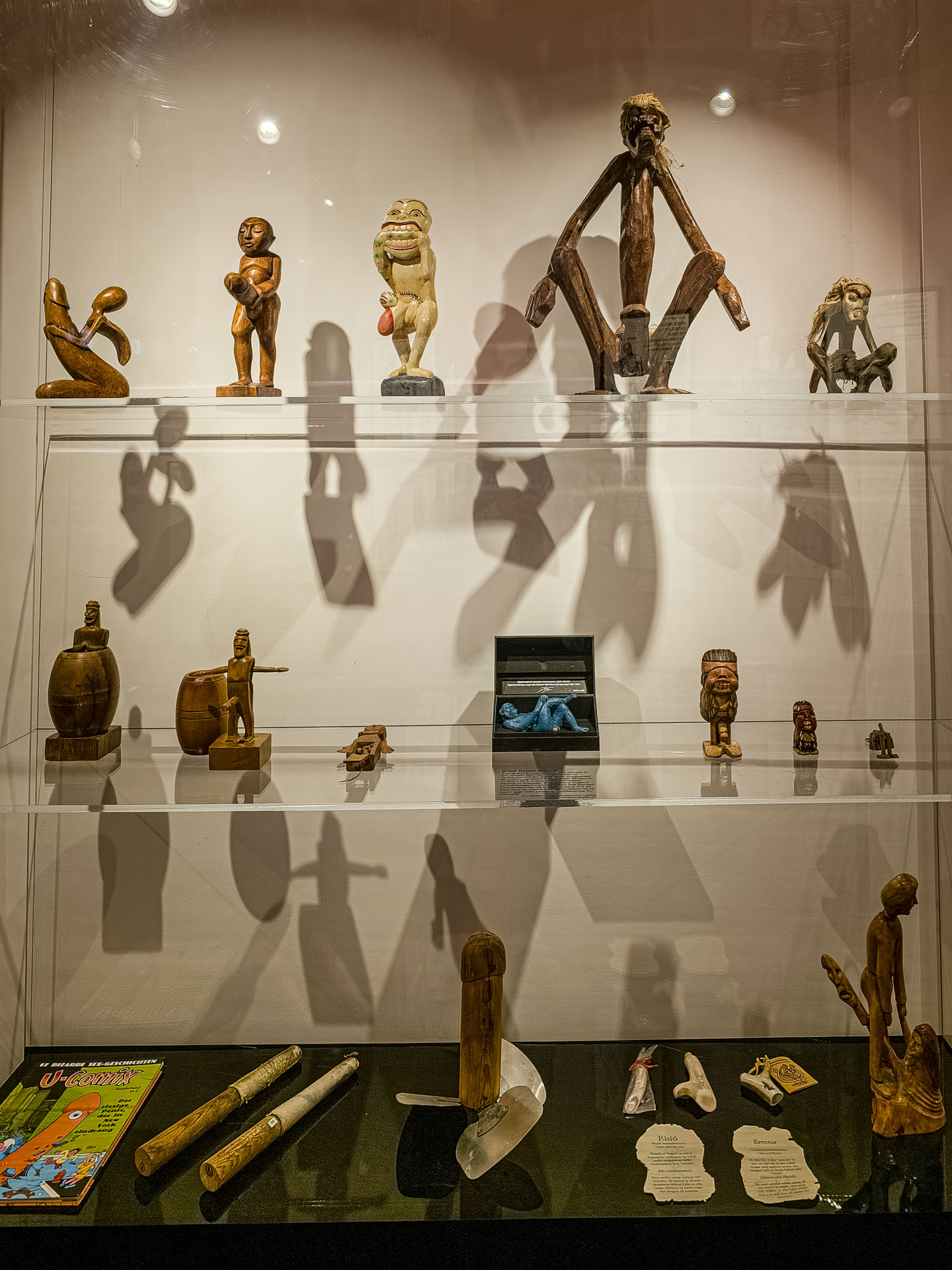 Icelandic Phallological Museum in Reykjavik | Unique things to do in ...